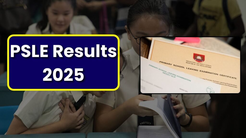 PSLE Results 2025: This Year’s 98.5% Qualification Rate for Parents and ...